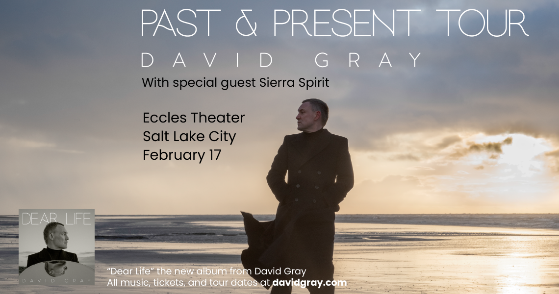 David Gray - Live at the Eccles